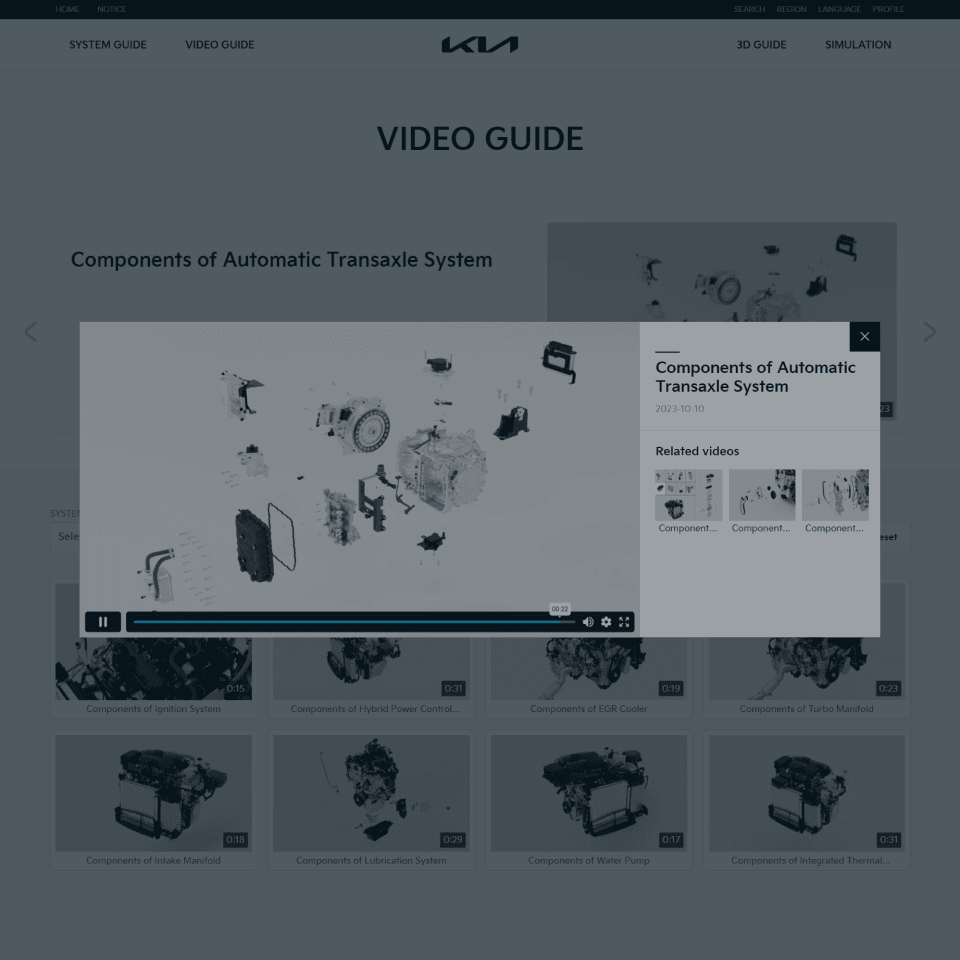 KIA Customer Visual Guide