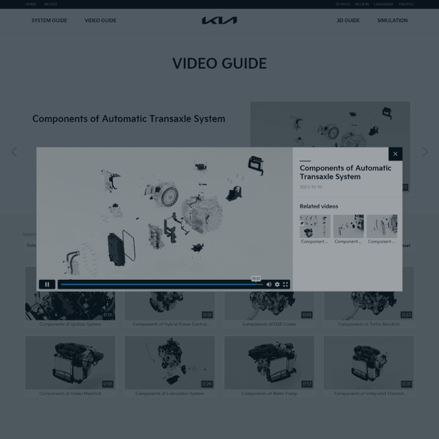 KIA Customer Visual Guide